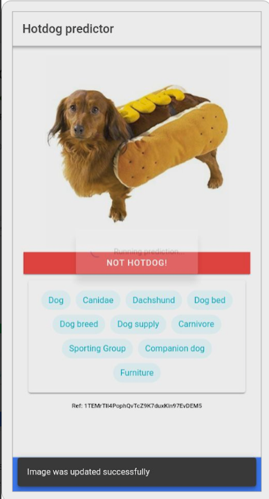 Home [d0rsha.github.io]